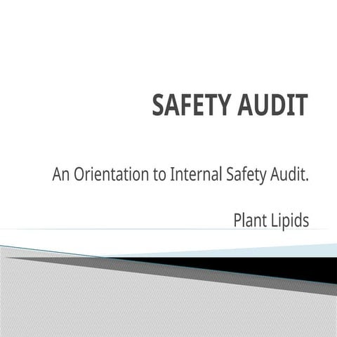 TRAINING FOR INTERNAL SAFETY AUDITORS IN SOLVENT EXTRACTION INDUSTRIES ...