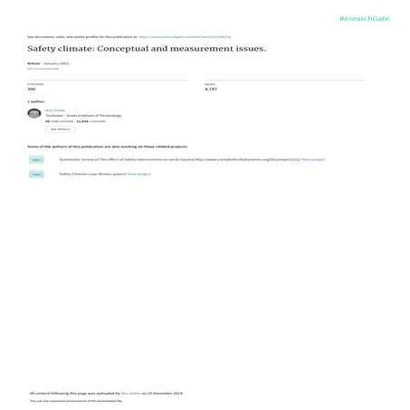 Safety climate conceptual and measurement issues.pdf