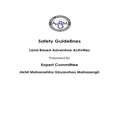 Safety guidelines nov 13 | PDF