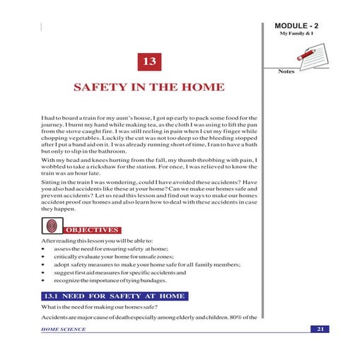 Safety in the home | PDF