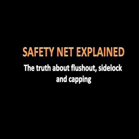 Safety net | PPT