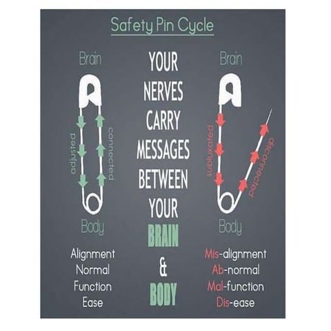 Safety pin cycle | PPTX | Cycling | Sports