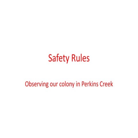 Safety rules | PPT