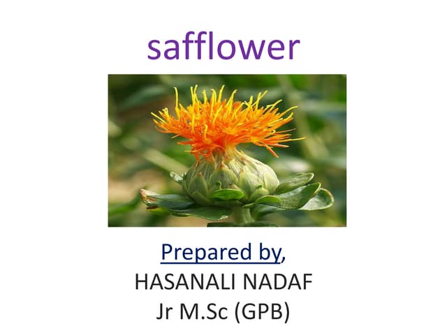 Safflower | PPTX