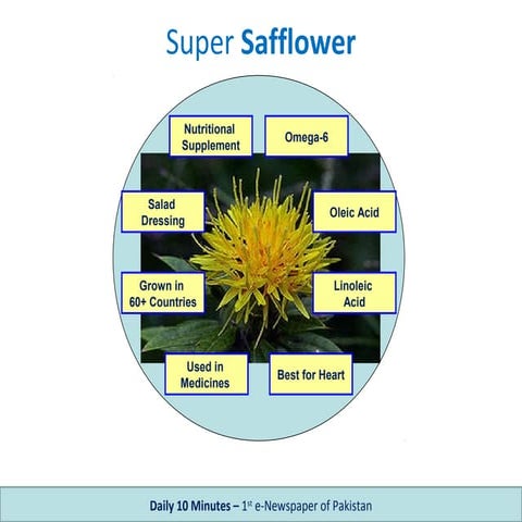Super Safflower | PPT