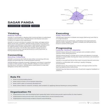 SAGAR-PANDA-Digital Marketing Professional.Psychometric.Test.Analysis | PDF