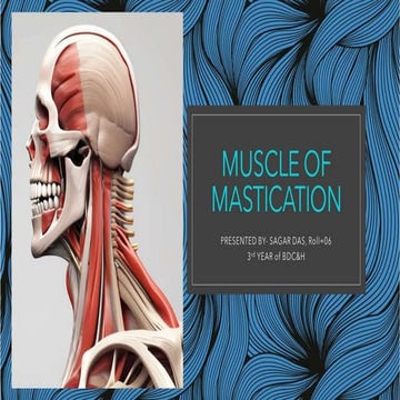 MUSCLE OF MASTICATION(a Review of anatomy).pptx