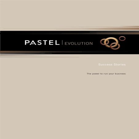 Sage Pastel Evolution Success Stories | PDF
