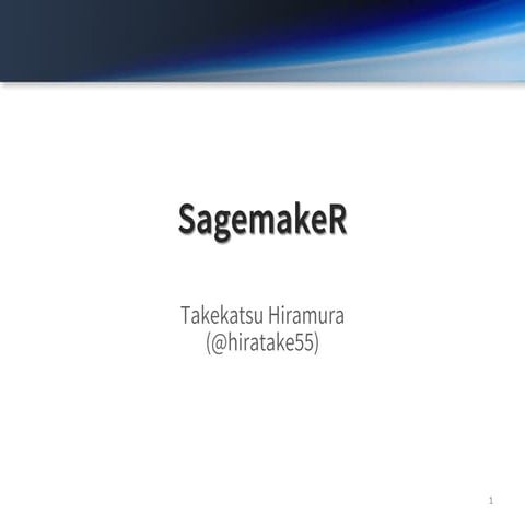 SageMakeR | PDF