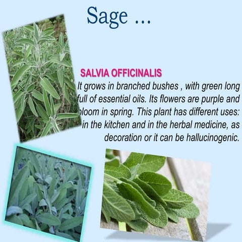 Sage | PPTX