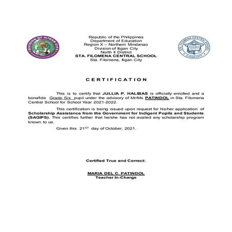 Sagip certification | DOCX | Professional School | Postgraduate Education