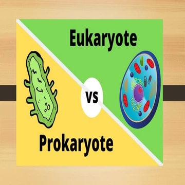 SAGONOY, MORPHO REPORT PowerPoint Slide | PPTX