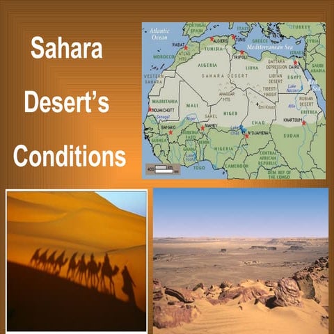 Sahara Desert | PPT | Weather | Science