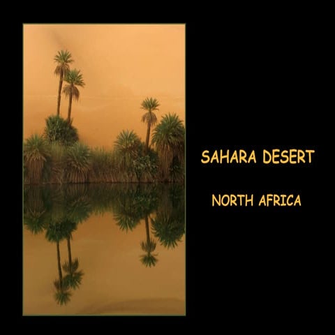 Sahara Desert - North Africa | PPS