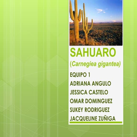 Sahuaro | PPTX