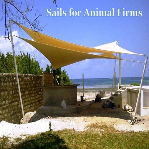 Sails for Animal Firms | PPT