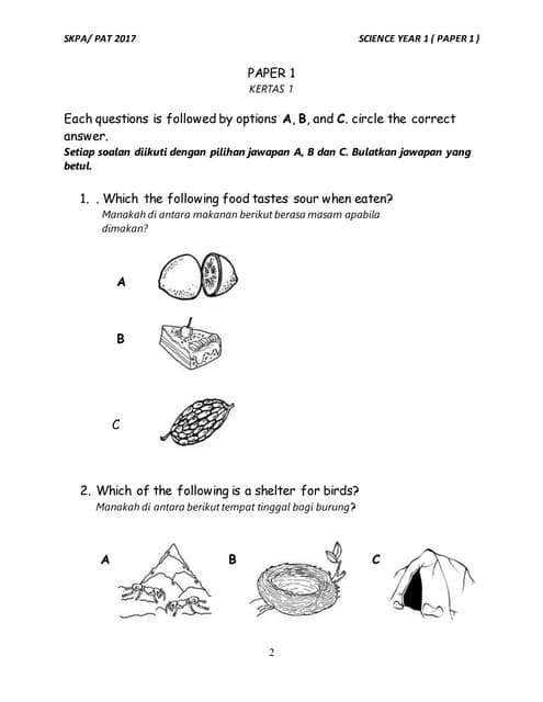 Year 1 dlp placement test (2) | PDF