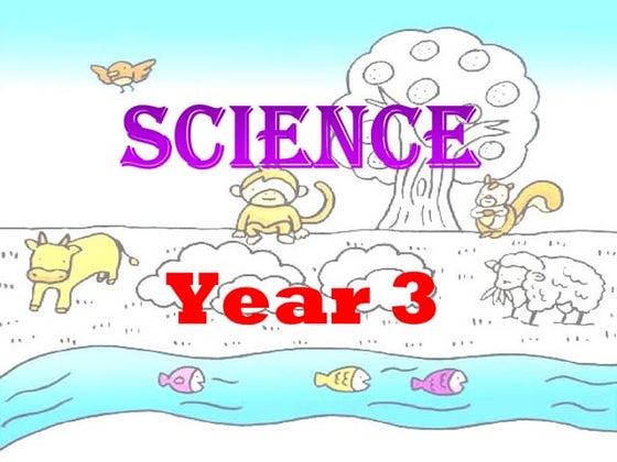 Three basic food groups | PPTX