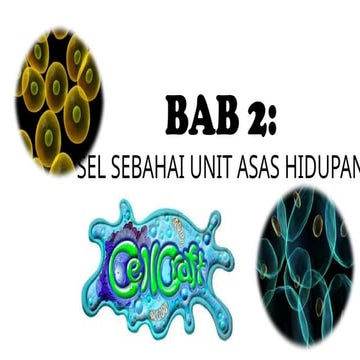 Nota Padat Sains Kssm Tingkatan 1 Bab 2 Pptx
