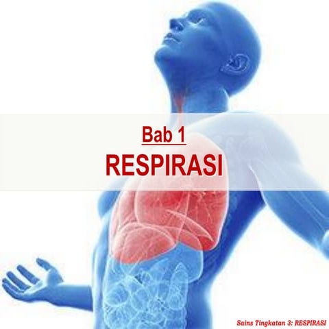 SAINS T3 BAB 1 - RESPIRASI 1.2 Pengangkutan oksigen dalam badan manusia.pdf