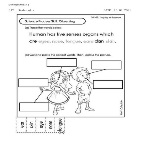 Sains tahun 1 worksheet | DOC