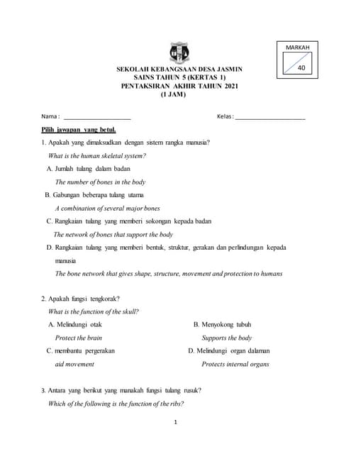 HOTS Questions for Science Year 4 | DOCX
