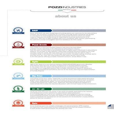 Pozzi Industries goup | PDF