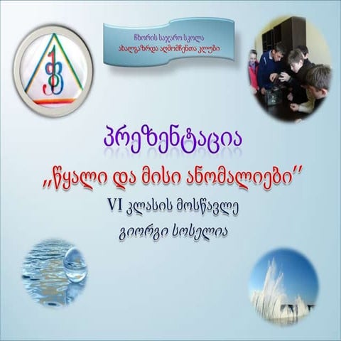 Sakonferencio tema ,,wylis anomaliebi'' | PPTX