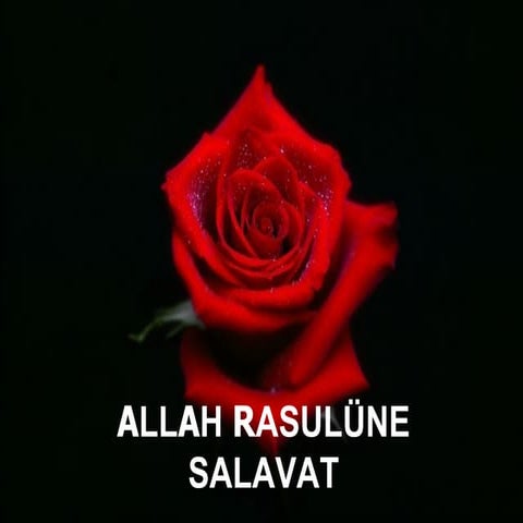Salavat | PPT
