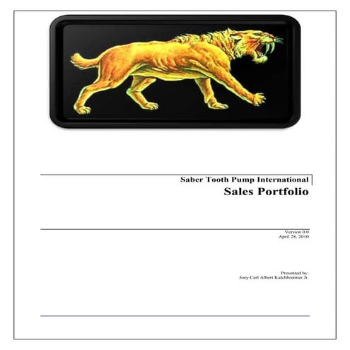 Sales Portfolio Project | DOCX