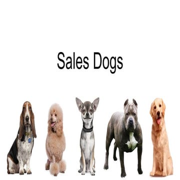 The 5 Types of Sales People and Their Dog Equivalent. | PPTX