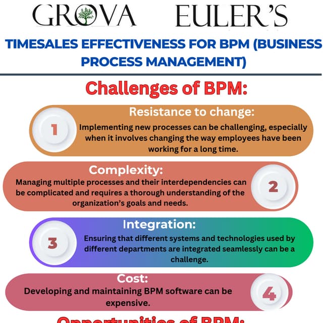 Sales Effectiveness For BPM (Business Process Management) | PDF