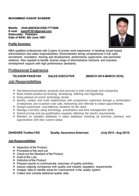 Professional CV Sample | PDF