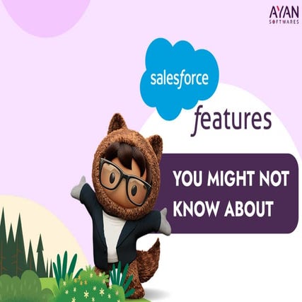 Salesforce Features You Might Not Know About | PPT