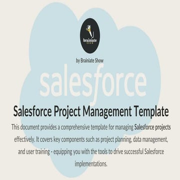 Boost Your Team's Productivity with Salesforce Project Management Template | PPT