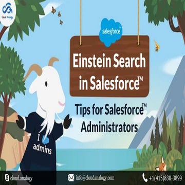 Salesforce Admin - How To Set Up Einstein Search In Salesforce - Tips ...