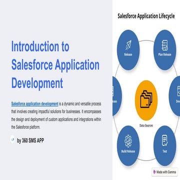 Salesforce Application Development 360 Degree Cloud Ppt 4707