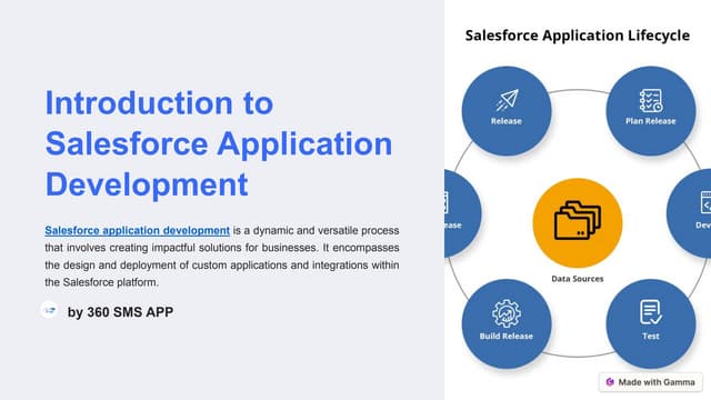 Salesforce Application Development 360 Degree Cloud Ppt 4707