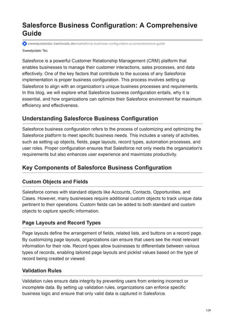 How to Assemble a Salesforce Data Governance Team | PDF | Information ...