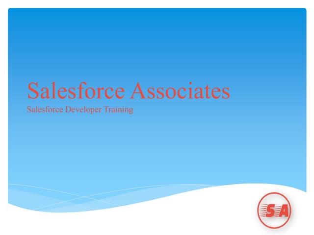 Salesforce Developer Training Presentation Slides Ppt