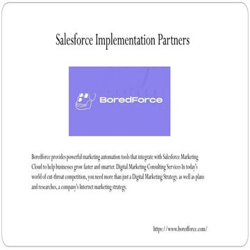 Salesforce Implementation.pdf