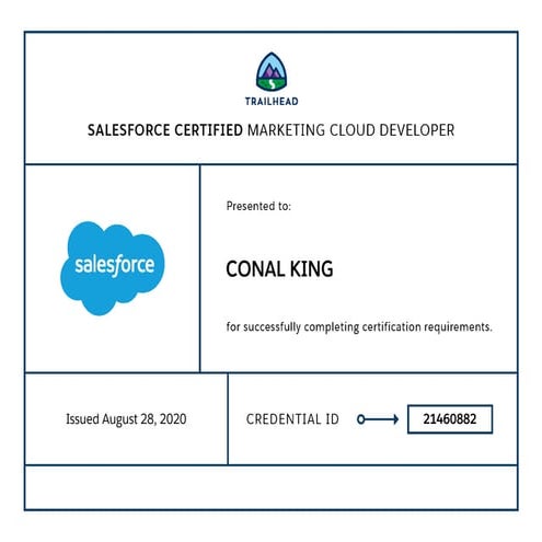 Salesforce Certified Marketing Cloud Developer | PDF