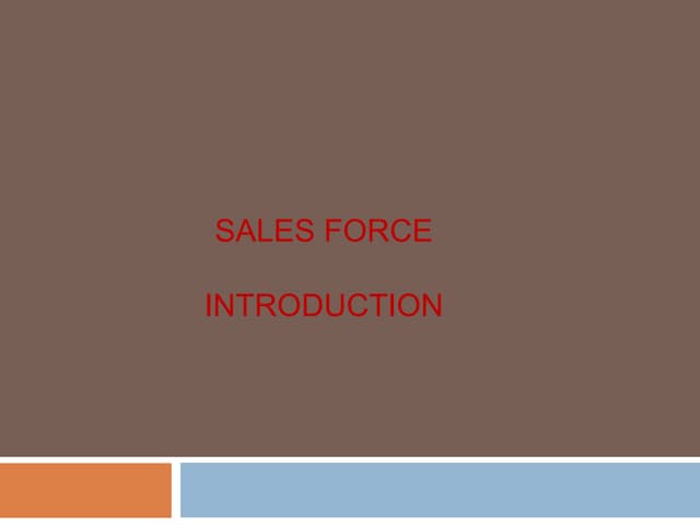 Introduction To Salesforce Ppt Pptx