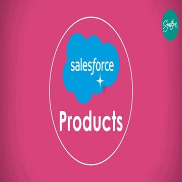 Salesforce Products: Features and Suitability | PDF
