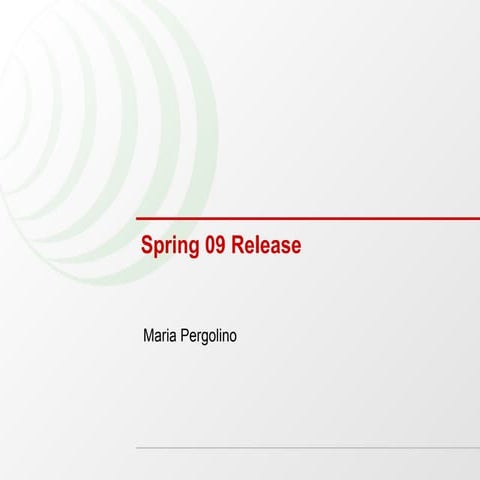 Salesforce Spring 09 Release Presentation | PPT