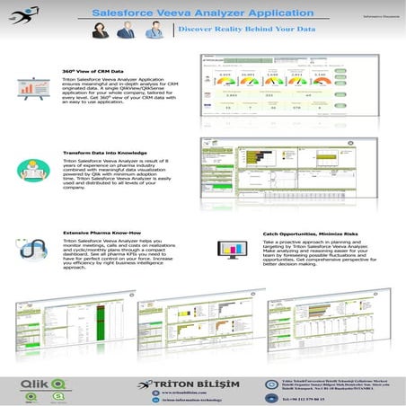 Triton's advanced and visual CRM Analysis tool | PDF