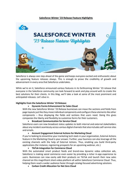 Overcoming lead conversion challenges with salesforce | PDF | Sales | Business