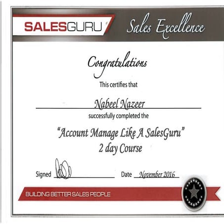 Account Manage Like a SalesGuru | PDF
