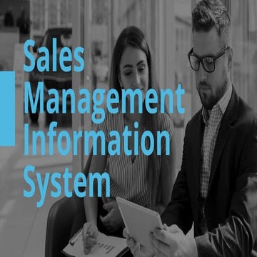 Sales management information system | PDF