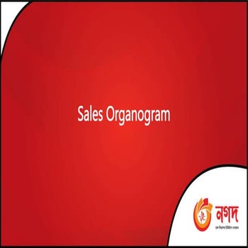 Sales Organogram.pptx